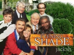 Evening Shade Complete Seasons 1-4 | iOffer Movies