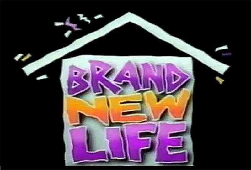 A Brand New Life (1989–1990) Series on DVD | iOffer Movies