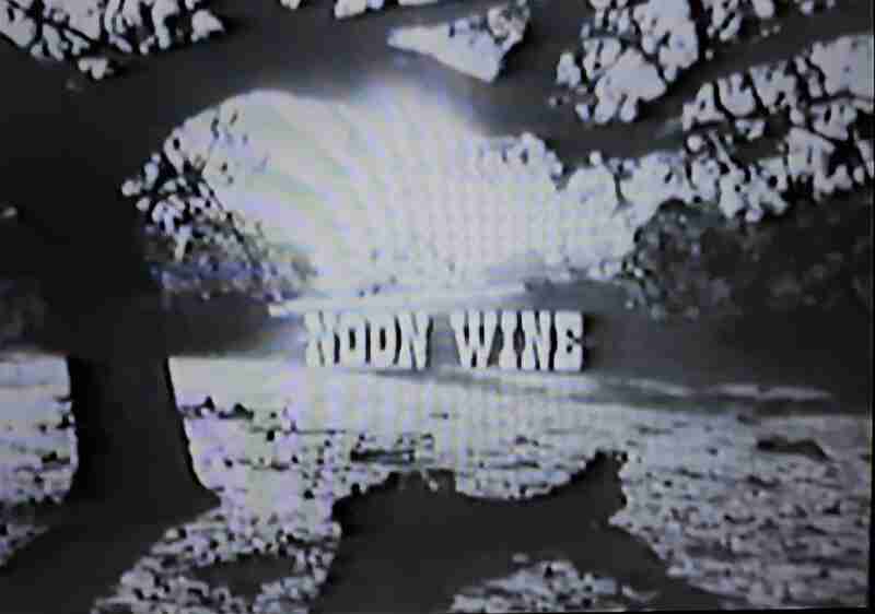 ABC Stage 67 (1966–1967) Starring Lee Grant Episodes on DVD | iOffer Movies