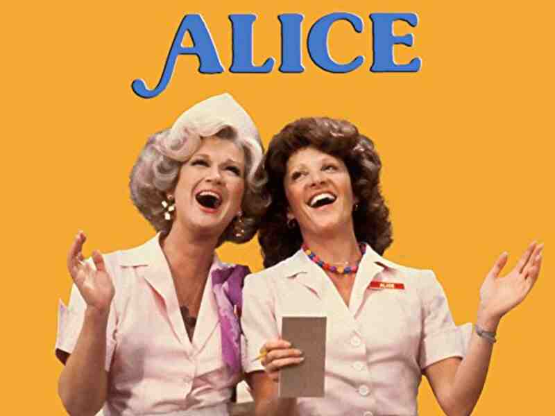Alice (1976–1985) 9 Seasons on DVD | iOffer Movies
