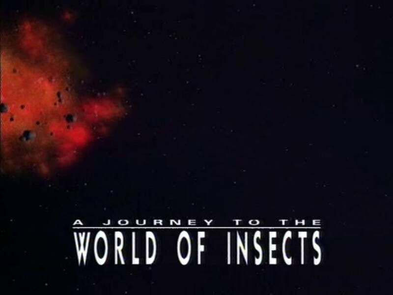 Alien Empire. A Journey to the World of Insects (1995–1995) Starring ...