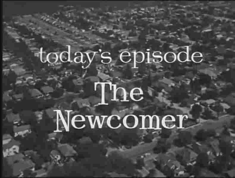 Annette (1958–1958) Starring Tim Considine Complete on DVD | iOffer Movies