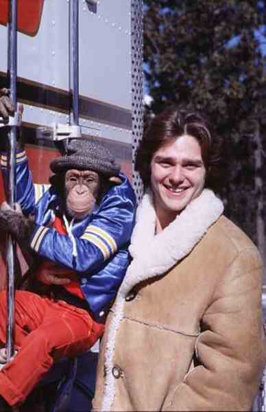 B.J. and the Bear (1978–1981) Series on DVD | iOffer Movies