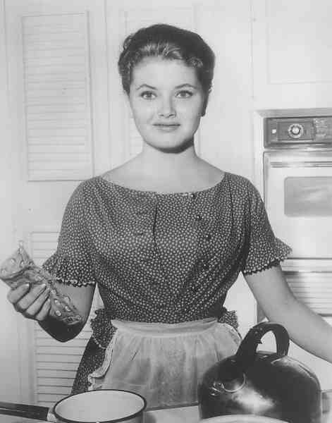 Bachelor Father (1957–1962) 5 Seasons on DVD | iOffer Movies