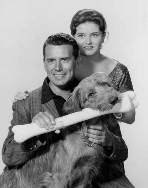 Bachelor Father (1957–1962) 5 Seasons on DVD | iOffer Movies