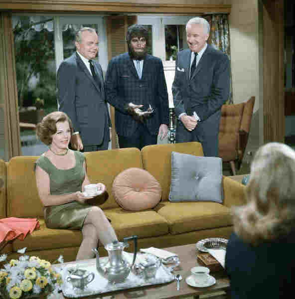 Bewitched (1964–1972) 8 Seasons on DVD | iOffer Movies