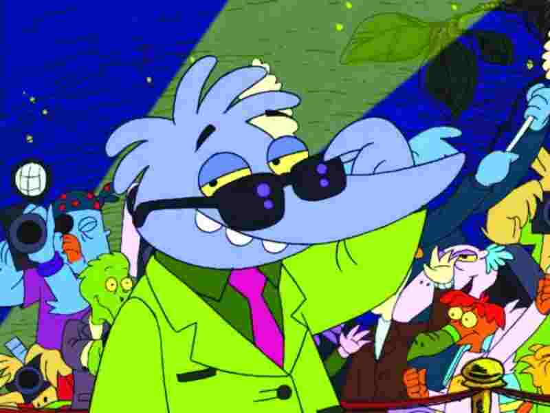 Birdz (1998–1999) Starring Adam Greydon Reid Complete on DVD | iOffer ...