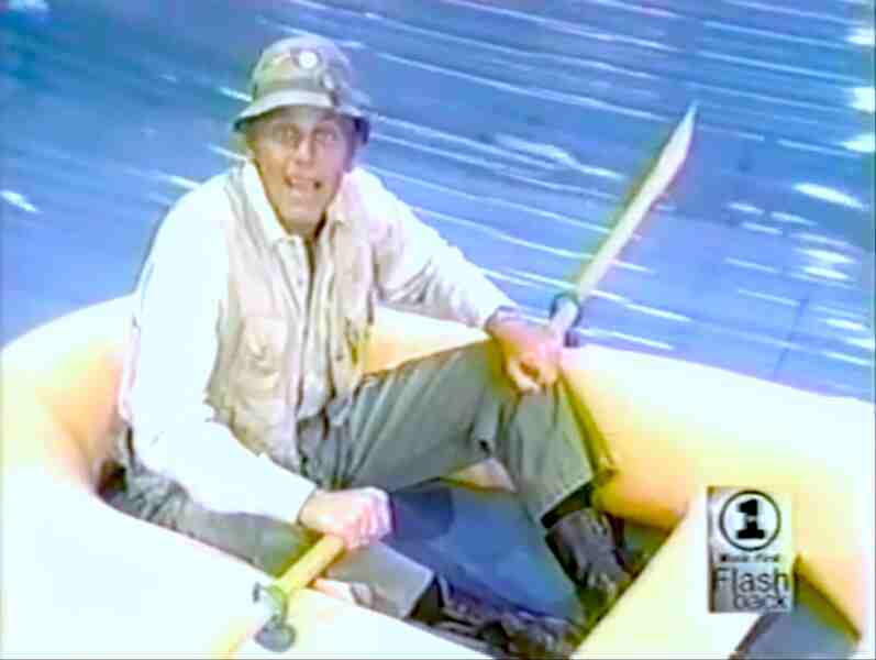 Cher (1975–1976) Series on DVD | iOffer Movies