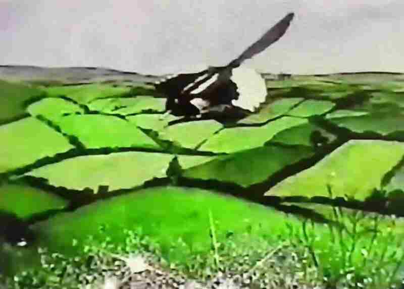 Chockablock (1981–1981) Starring Fred Harris 11 Episodes on DVD ...