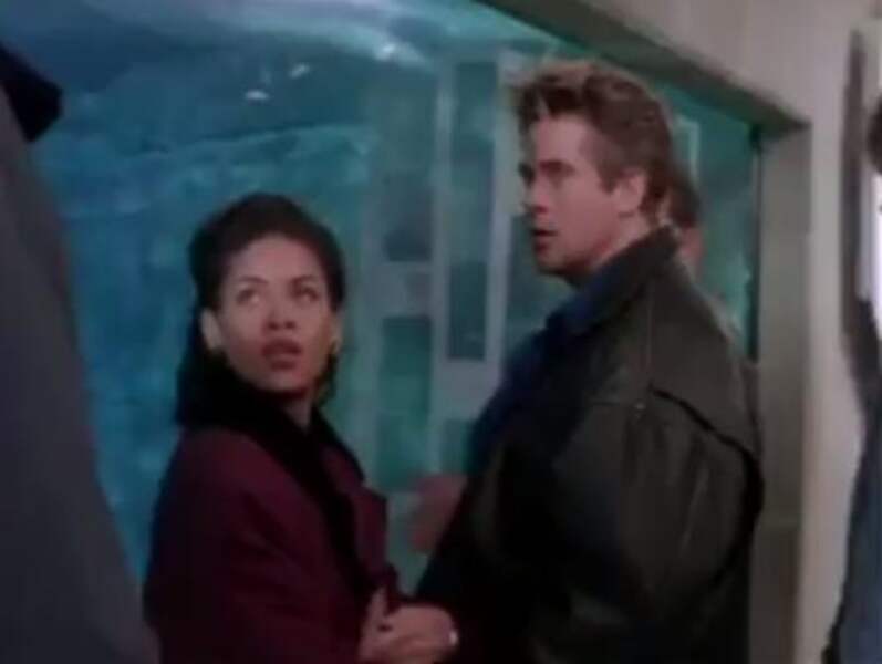 Cobra (1993–1994) Starring Michael Dudikoff Complete on DVD | iOffer Movies