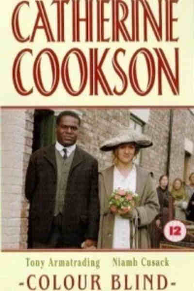 Colour Blind (1998–1998) Starring Joe Caffrey Complete on DVD | iOffer ...