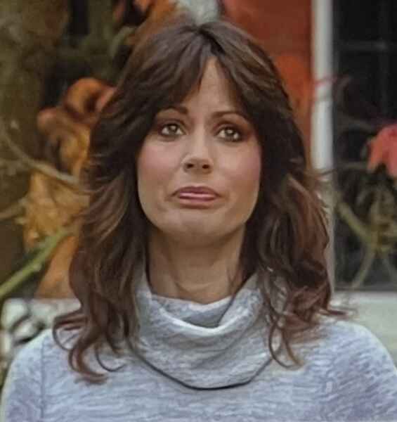 Cop Shop (1977–1984) 12 Seasons (312 Episodes) on DVD | iOffer Movies