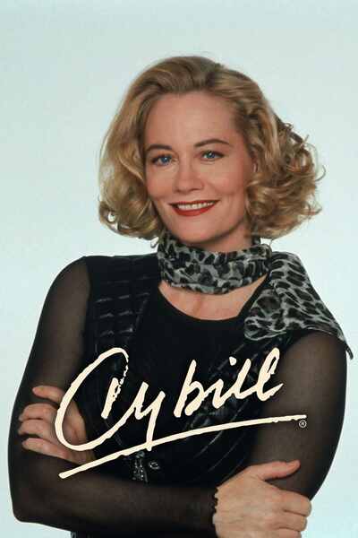 Cybill (1995–1998) 4 Seasons Complete on DVD | iOffer Movies