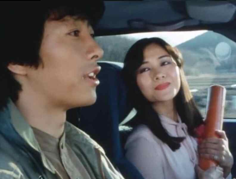 Dai Sentai Goggle-V (1982–1983) Starring Ryouji Akagi Complete on DVD ...