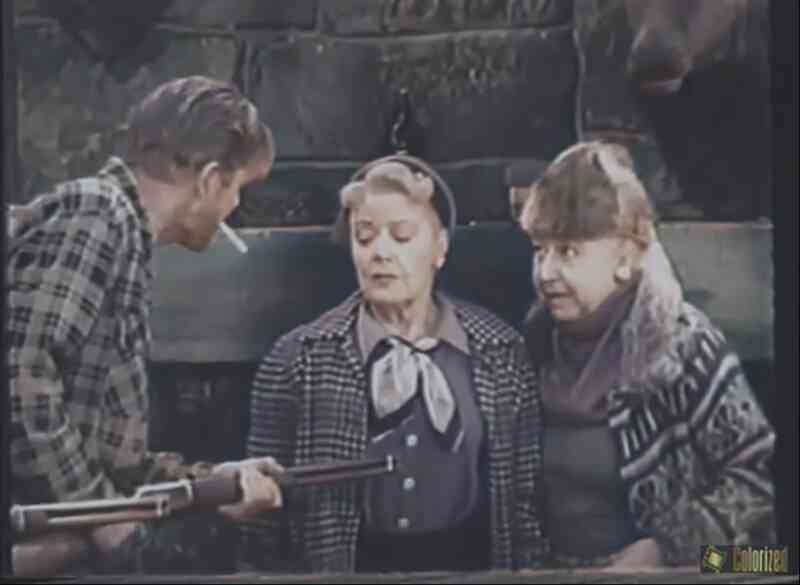 December Bride (1954–1959) 70 Mixed Episodes on DVD | iOffer Movies