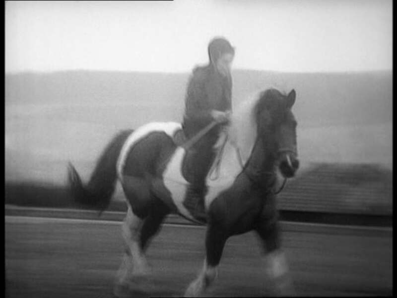 Escape Into Night (1972–1972) Starring Sonia Graham Complete on DVD ...