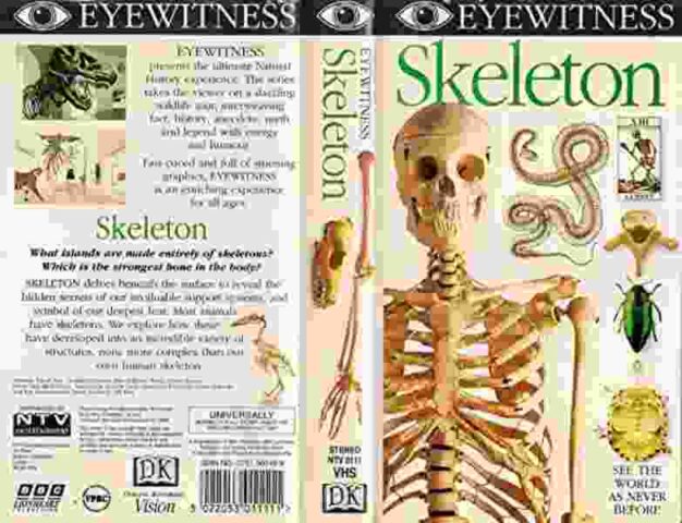 Eyewitness (1994) Series on DVD | iOffer Movies
