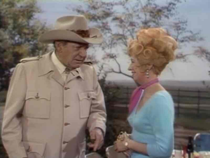 Flo (1980–1981) 2 Seasons on DVD | iOffer Movies
