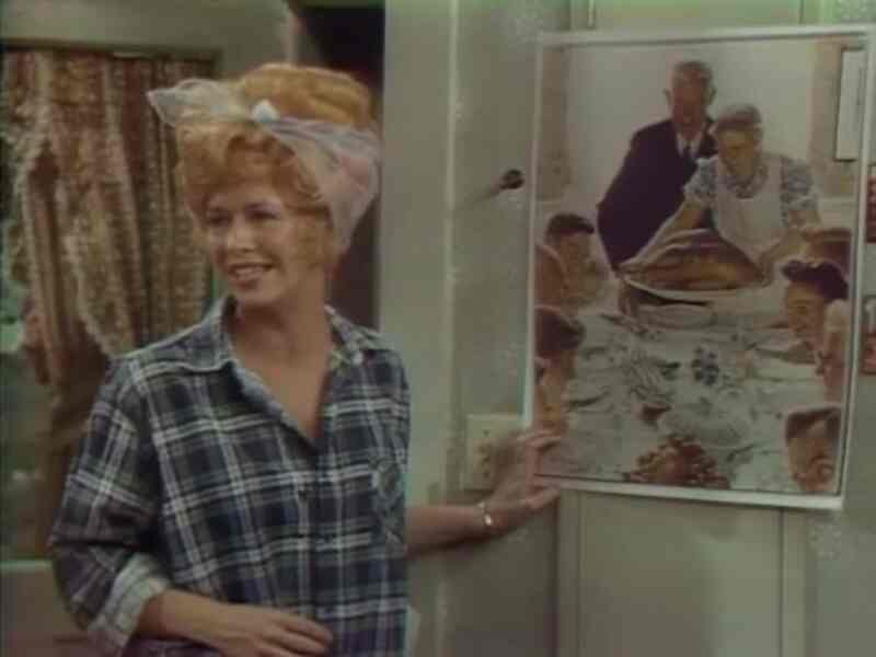 Flo (1980–1981) 2 Seasons on DVD | iOffer Movies