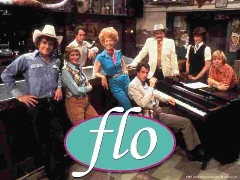 Flo (1980–1981) 2 Seasons on DVD | iOffer Movies