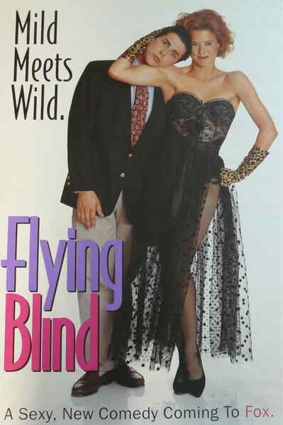Flying Blind (1992–1993) Starring Corey Parker Complete on DVD | iOffer ...
