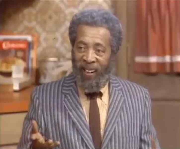 Grady (1975–1976) Starring Whitman Mayo Complete on DVD | iOffer Movies