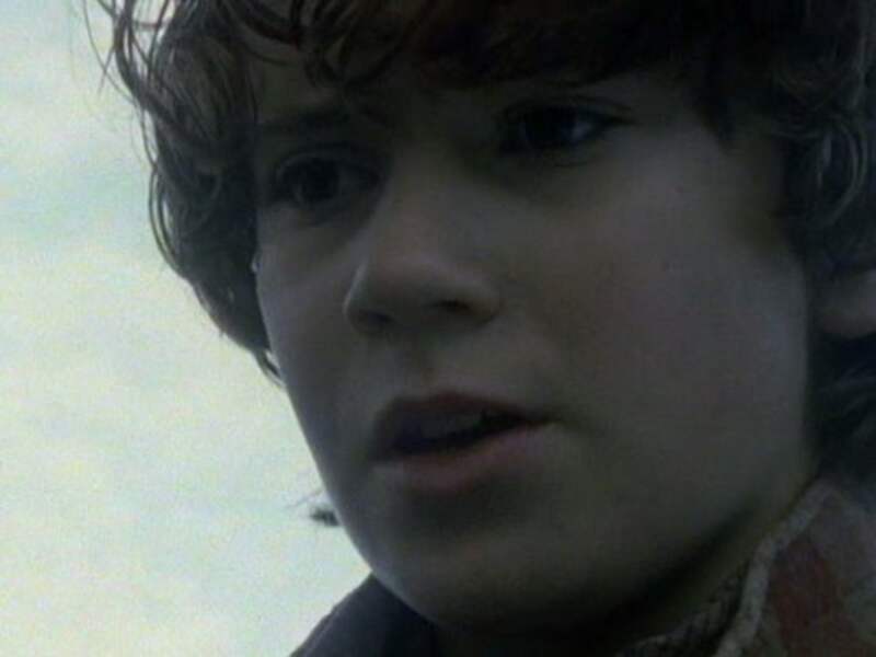 Great Expectations (1981–1981) Starring Gerry Sundquist Complete Mini ...