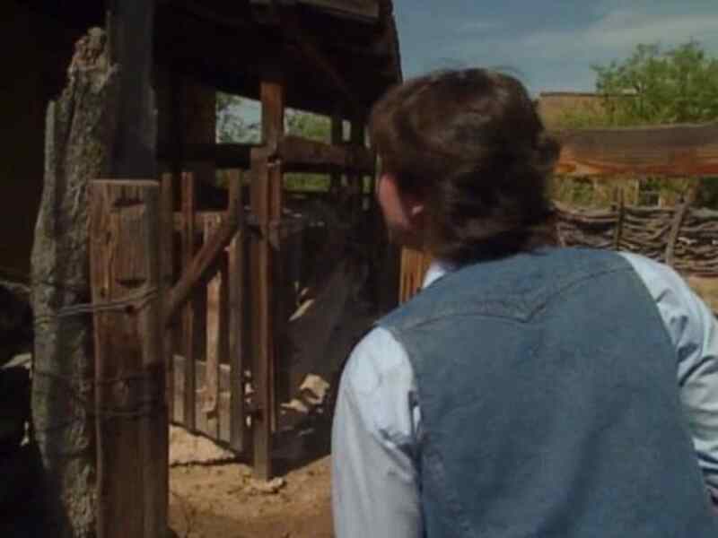 Hey Dude (1989–1991) 5 Seasons on DVD | iOffer Movies