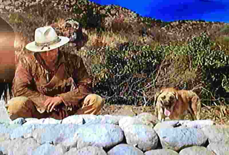 Hondo (1967–1967) Starring Ralph Taeger Complete on DVD | iOffer Movies