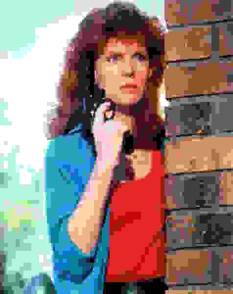 Lady Blue (1985–1991) Starring Jamie Rose Complete Season 1 on DVD ...