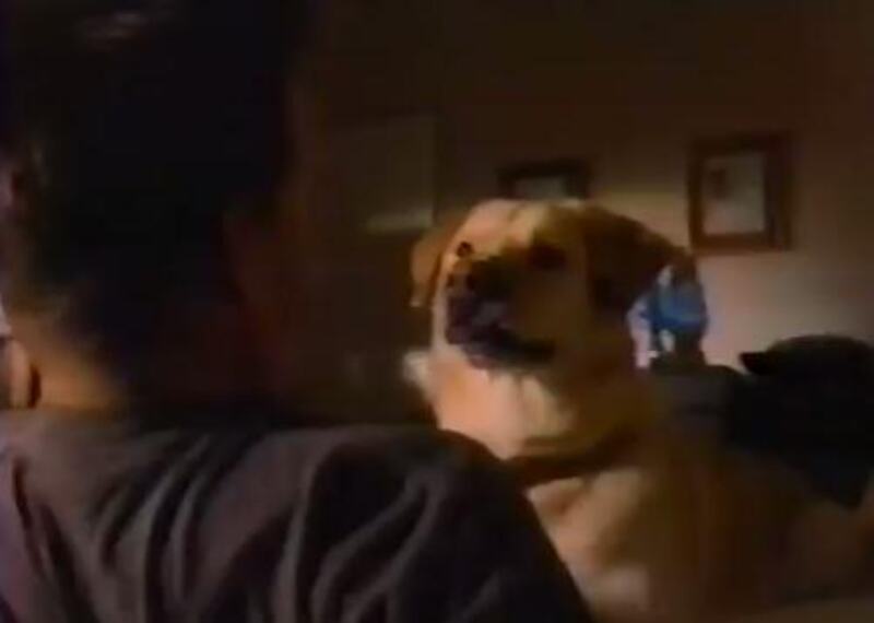 Mann & Machine (1992–1992) Starring David Andrews Complete on DVD ...