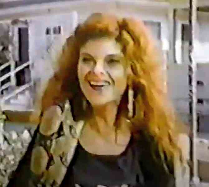 Ohara (1987–1988) Series on DVD | iOffer Movies