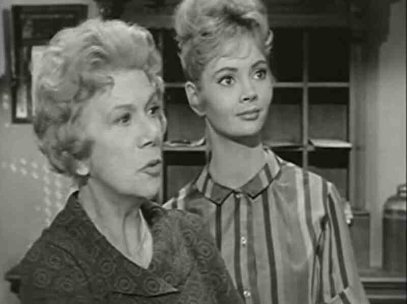 Petticoat Junction (1963–1970) 7 Seasons Complete on DVD | iOffer Movies