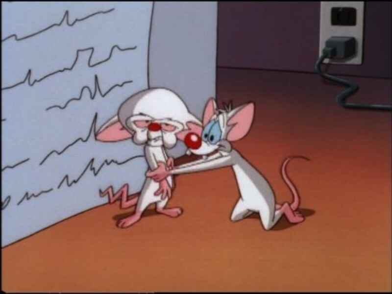 Pinky and the Brain (1995–1998) 1-4 Seasons Complete on DVD | iOffer Movies