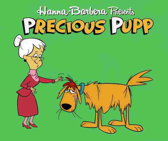 Precious Pupp (1965–1967) Series on DVD | iOffer Movies