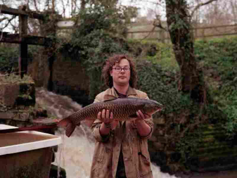 River Cottage Forever (2002–2002) Starring Hugh Fearnley-Whittingstall ...