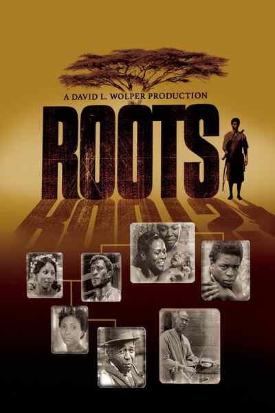 Roots (1977–1977) Starring LeVar Burton Complete on DVD | iOffer Movies