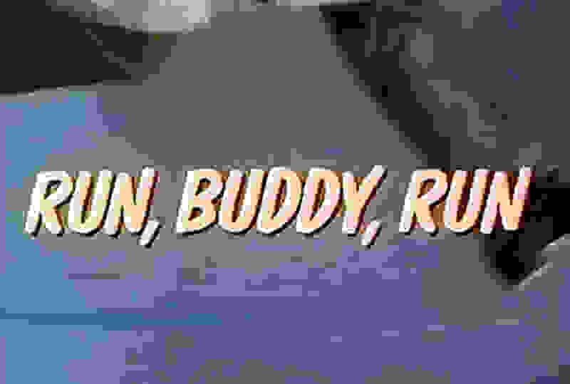 Run Buddy Run (1966–1967) Starring Jack Sheldon 6 Mixed Episodes on DVD ...