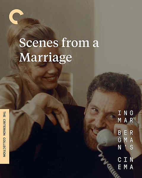 Scenes from a Marriage (1973–1973) Starring Liv Ullmann Complete on DVD ...