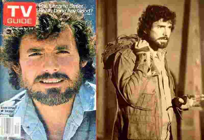 Serpico (1976–1977) Starring David Birney Mixed Episodes on DVD ...