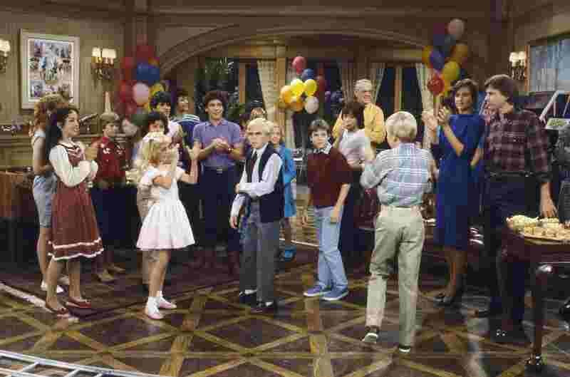 Silver Spoons (1982–1987) Series on DVD | iOffer Movies