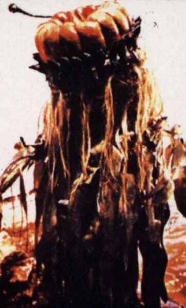 Spectreman (1971–1972) Starring Linda Gary Complete on DVD | iOffer Movies