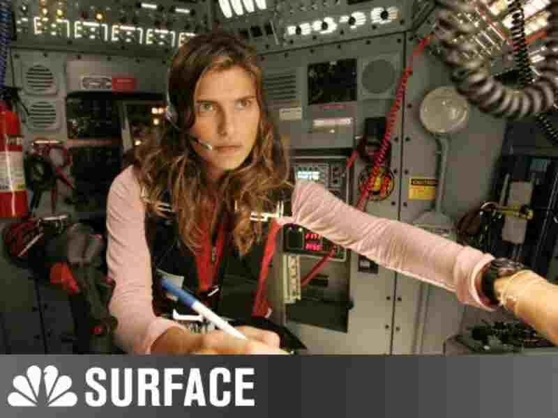 Surface (2005–2006) Starring Lake Bell Complete on DVD | iOffer Movies