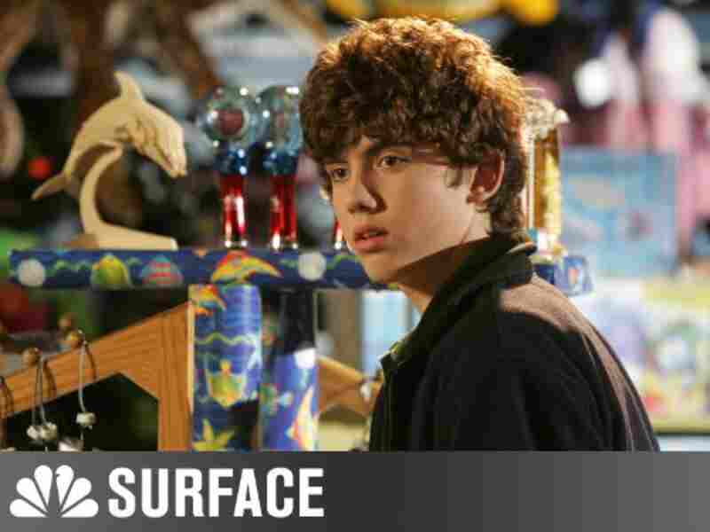 Surface (2005–2006) Starring Lake Bell Complete on DVD | iOffer Movies