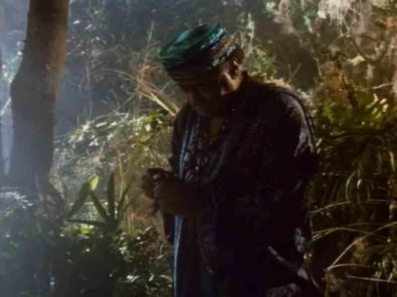 Swamp Thing (1990–1993) Series on DVD | iOffer Movies