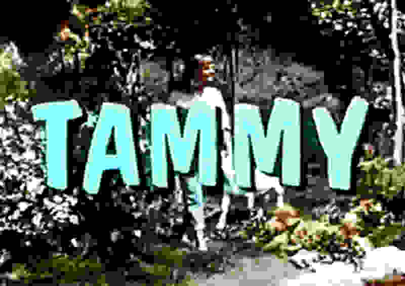 Tammy (1965–1966) Starring Debbie Watson Complete on DVD | iOffer Movies