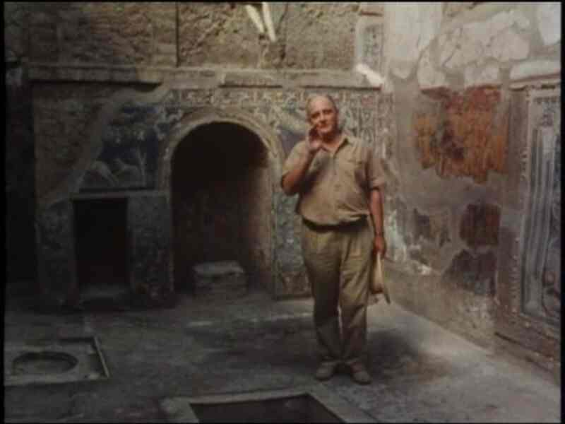 Testament (1988–1988) Starring John Romer Complete on DVD | iOffer Movies