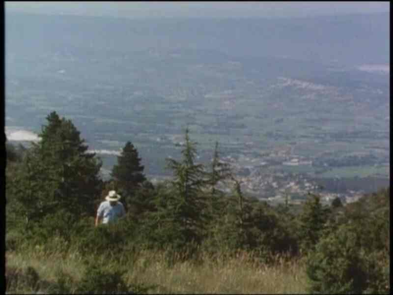 Testament (1988–1988) Starring John Romer Complete on DVD | iOffer Movies