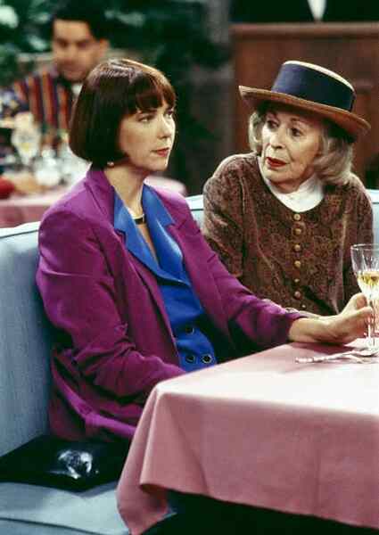 The 5 Mrs. Buchanans (1994–1995) Starring Judith Ivey Complete on DVD ...
