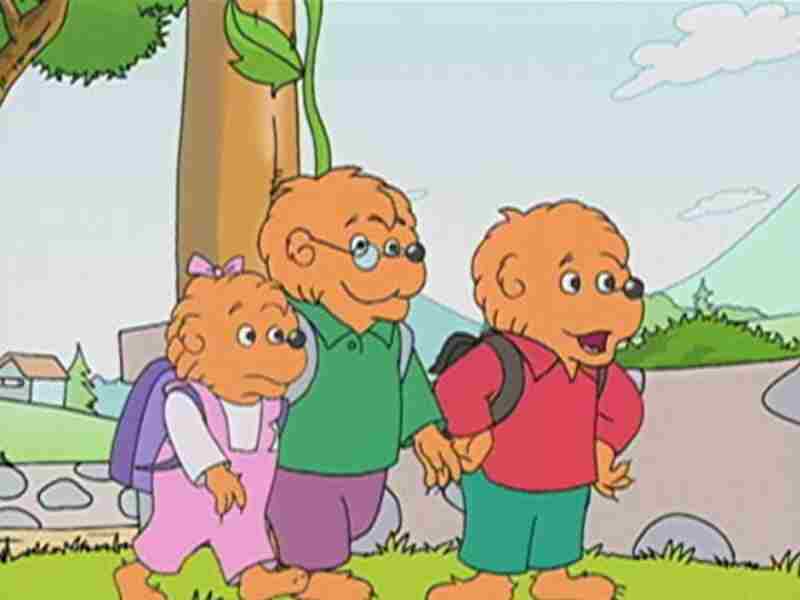 The Berenstain Bears (1985–2004) 5 Seasons on DVD | iOffer Movies